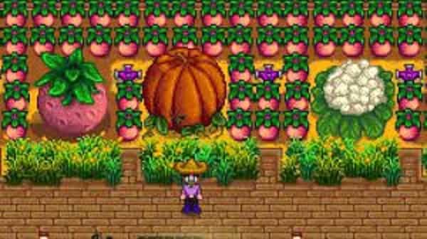 How to Harvest Melons in Stardew Valley - NewsGater